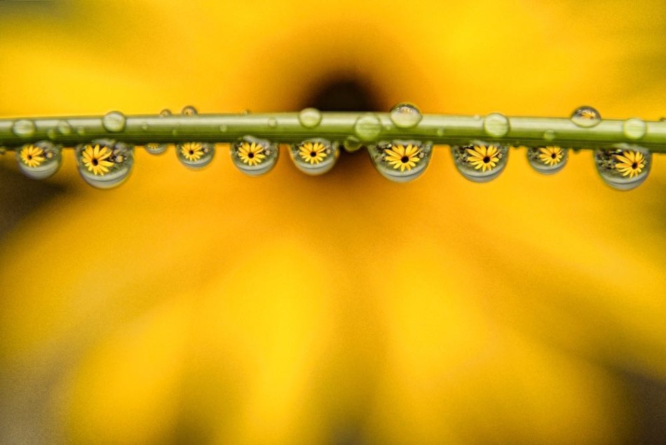 Cindy Ford flower water beads – Allegheny RiverStone Center for the Arts