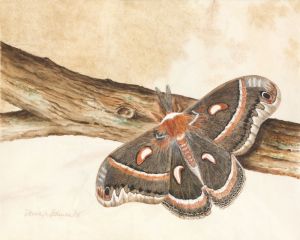 Red Brick Cooperative Artists – Allegheny RiverStone Center for the Arts