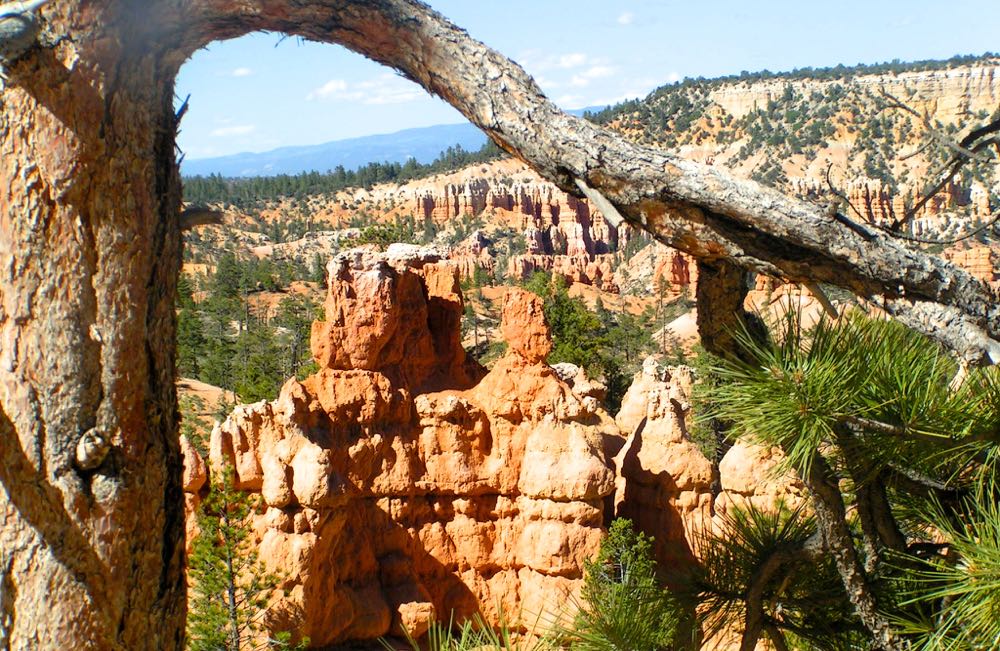 Photographer Ray Rossi-World Views – Allegheny RiverStone Center for ...