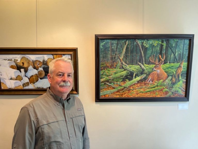 Mark Anderson, Wildlife Artist – Red Brick Gallery – Allegheny ...