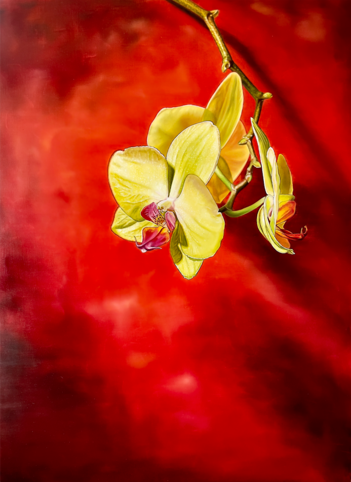 Dennis Keyes & Jannick Wildberg: Consciousness Reflected – Allegheny ...