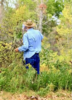 The Conservancy Paintings – Painter Geoff Dunn – Allegheny RiverStone ...